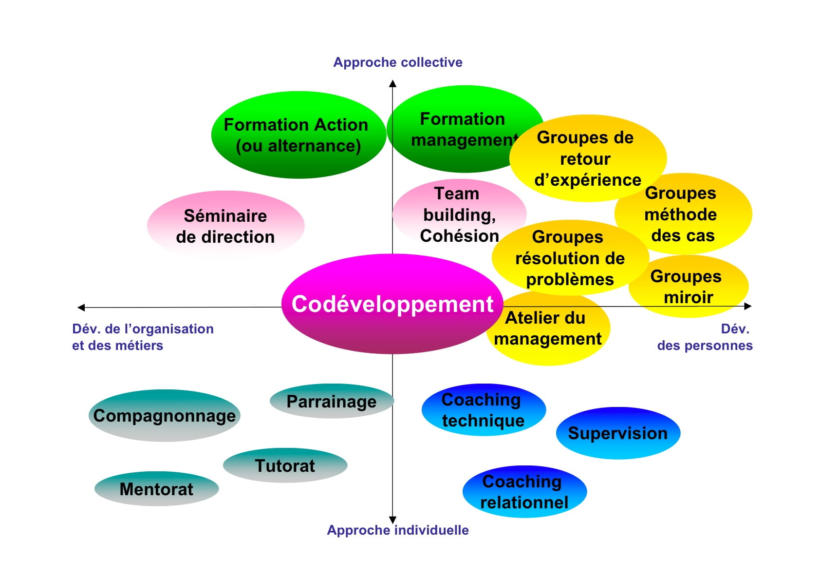 Le co-développement : un outil puissant d'intelligence collective au ...